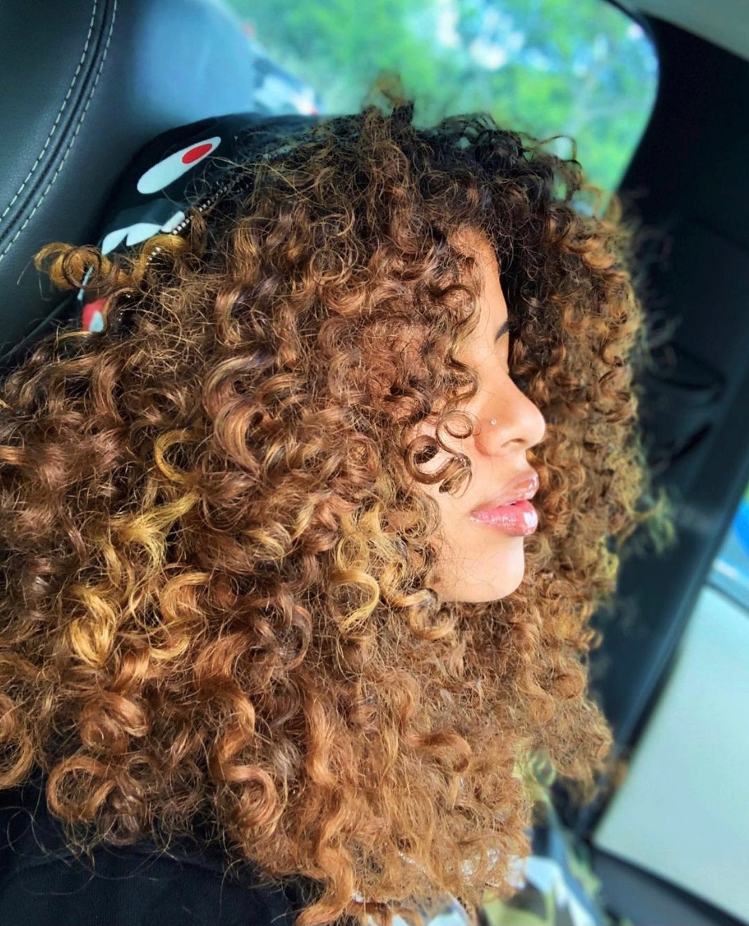 Ms Miami Mami